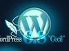 WordPress 6.8发布：引入Speculative Loading和bcrypt哈希算法（全文）_业界资讯-中关村在线