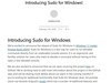 Win11预览版更新 原生支持Sudo命令（全文）_Microsoft Windows 11_业界资讯-中关村在线