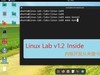 Linux Lab v1.2正式版发布，新增QEMU v8.0.2、nolibc和NOMMU开发支持_业界资讯-中关村在线
