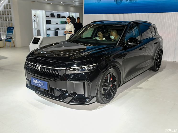 岚图 FREE 318版正式上市售价待定_岚图汽车 岚图FREE 2024款 超长续航智驾版_汽车新闻-中关村在线