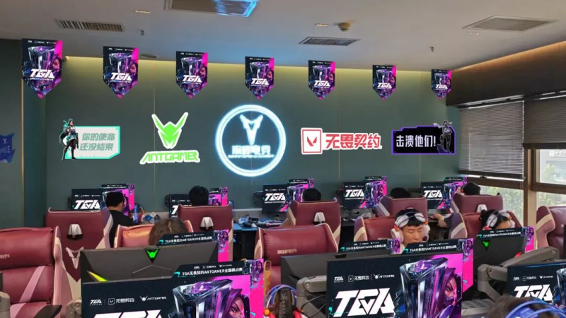 燃动西安！2025TGA无畏契约Antgamer全国挑战赛独立赛道——巅峰电竞_厂商动态-中关村在线