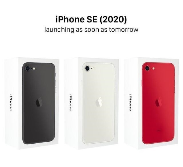 苹果 iPhone SE 2020发布在即，这次不用卖肾了（全文）_苹果 iPhone SE 2_家电小家电-中关村在线